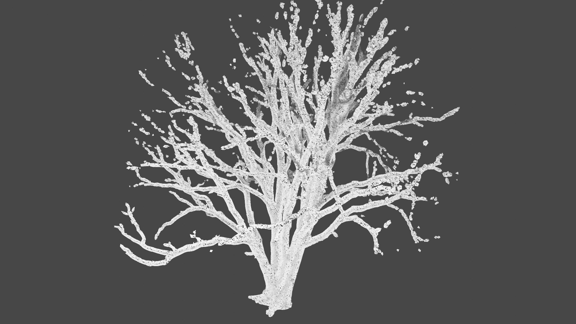 3D Model Dry Tree - TurboSquid 1518643