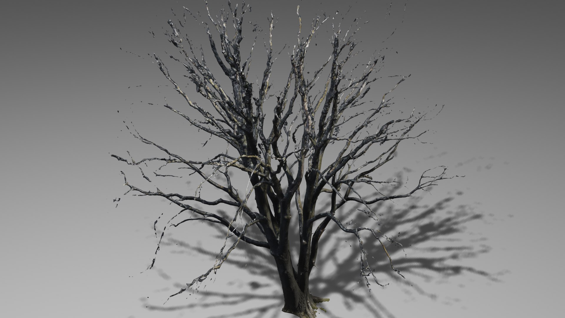 3D Model Dry Tree - TurboSquid 1518643