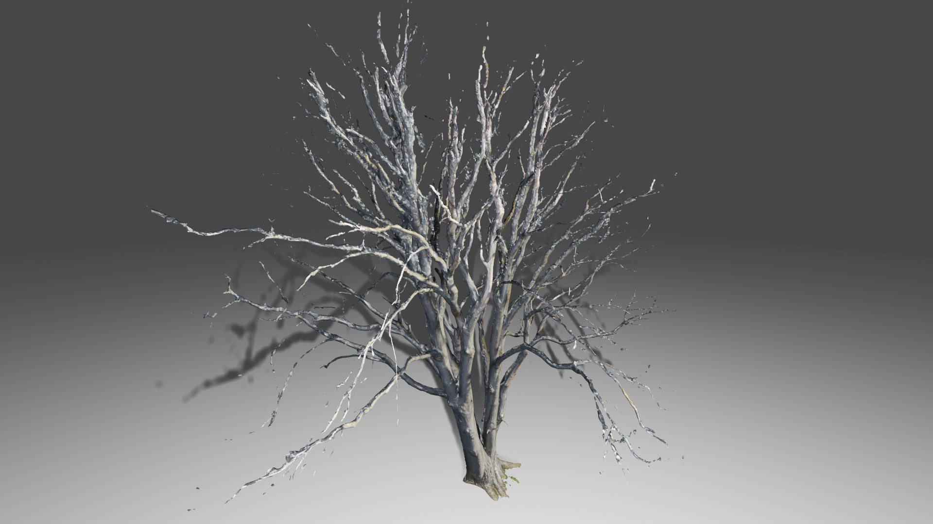 3D Model Dry Tree - TurboSquid 1518643