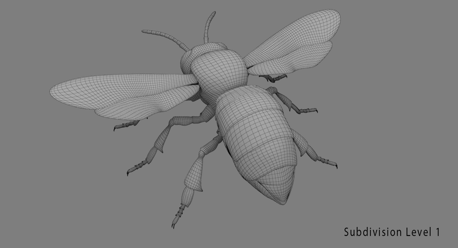 Honey Bee 3D Model - TurboSquid 1273892