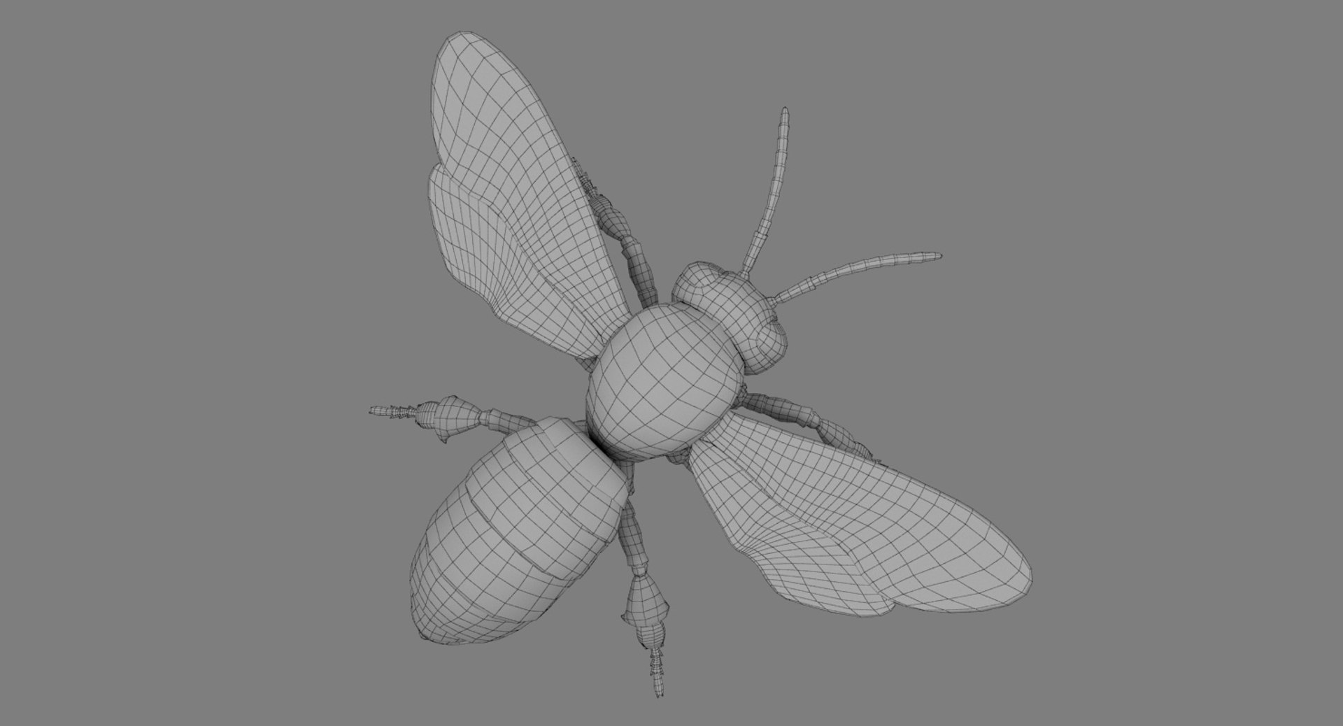 Honey bee 3D model - TurboSquid 1273892
