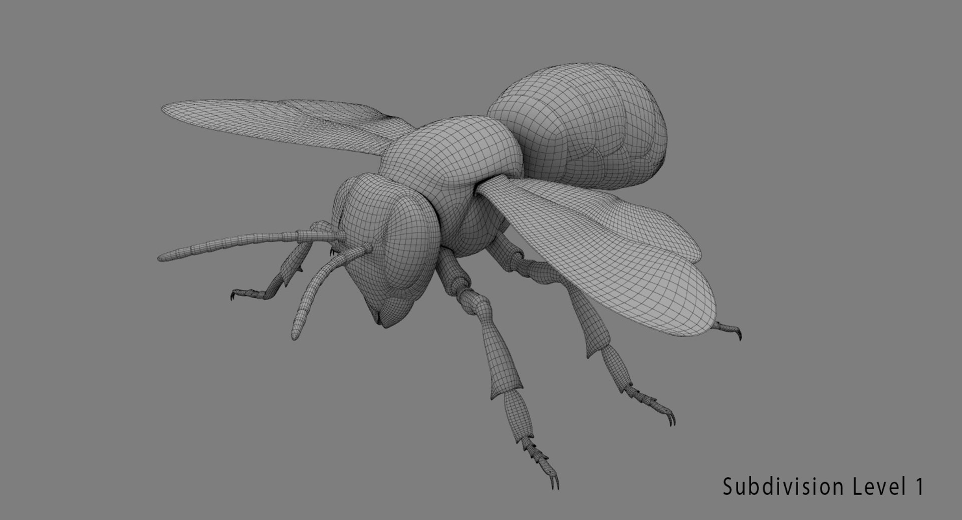 Honey Bee 3D Model - TurboSquid 1273892