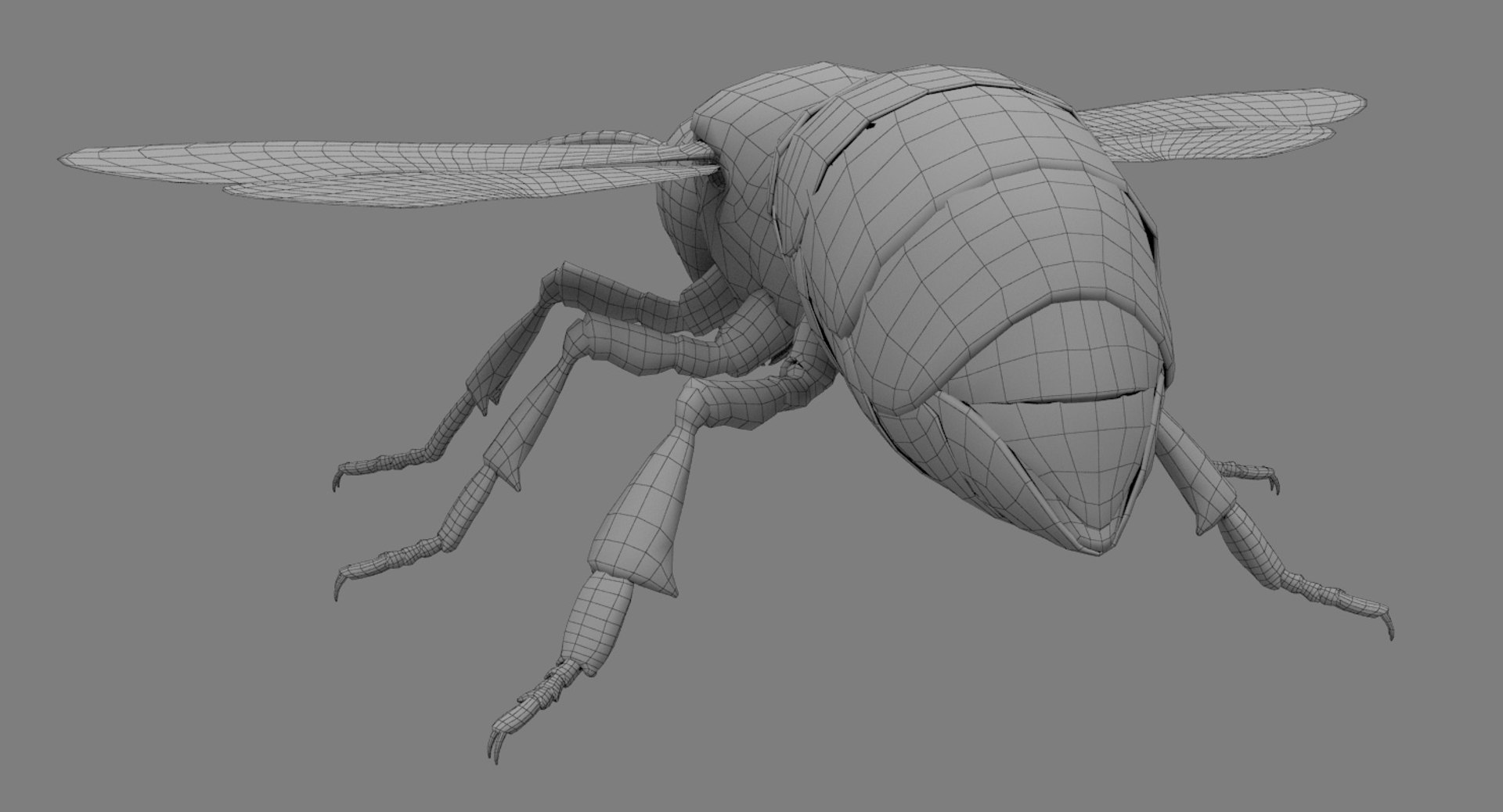 Honey bee 3D model - TurboSquid 1273892