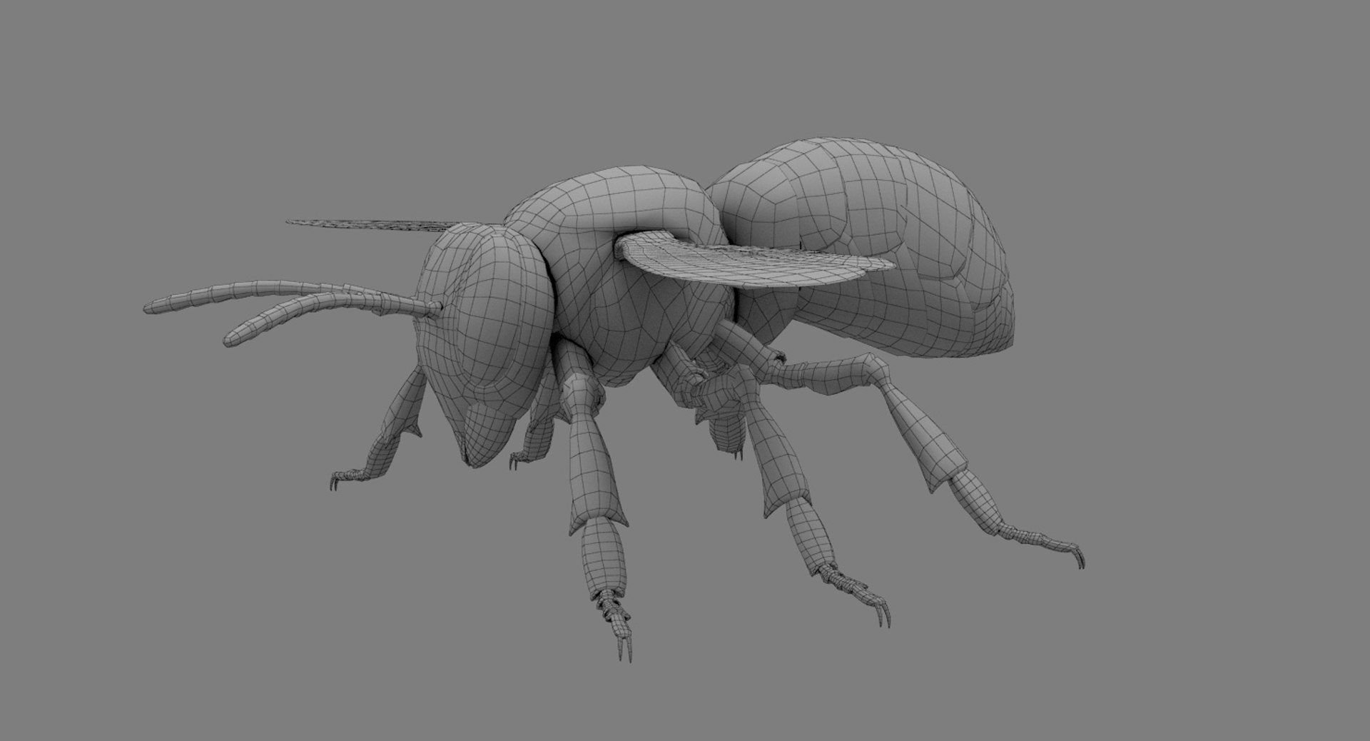 Honey Bee 3D Model - TurboSquid 1273892