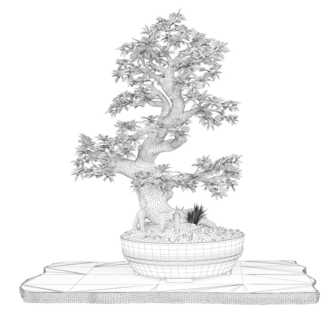 3d Bonsai Model