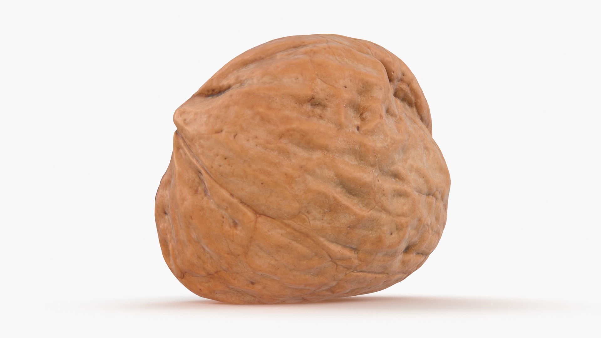 Empty Walnut Shell 3D model - TurboSquid 1973749