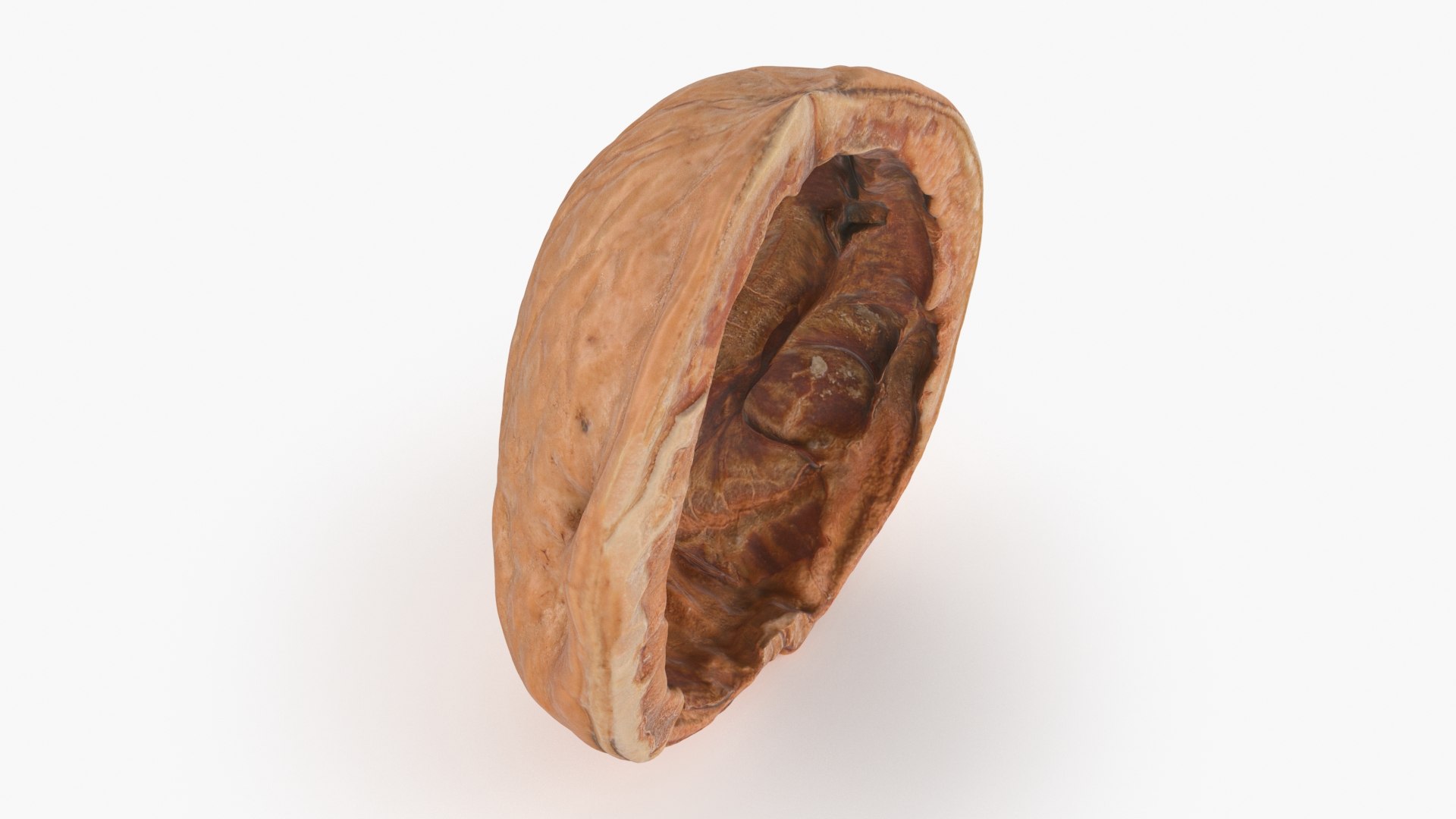 Empty Walnut Shell 3D model - TurboSquid 1973749