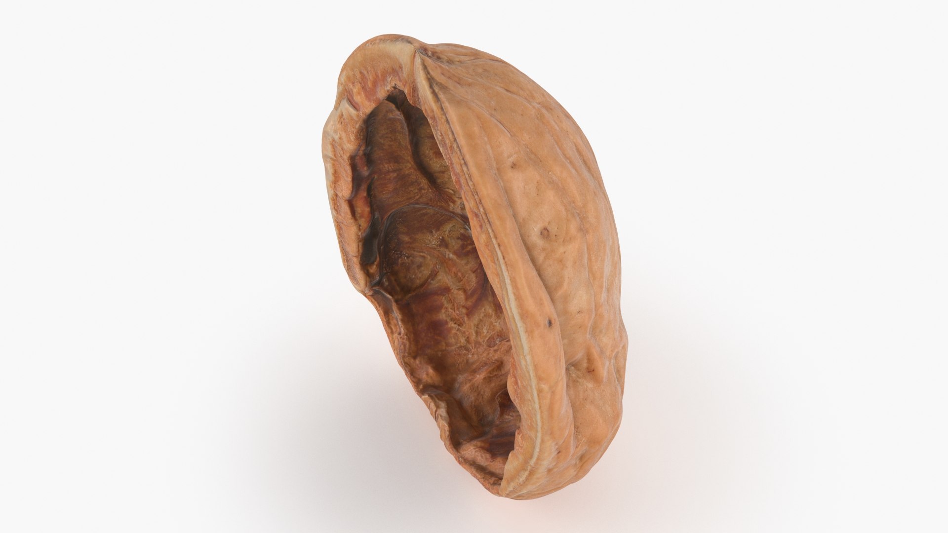 Empty Walnut Shell 3D model - TurboSquid 1973749