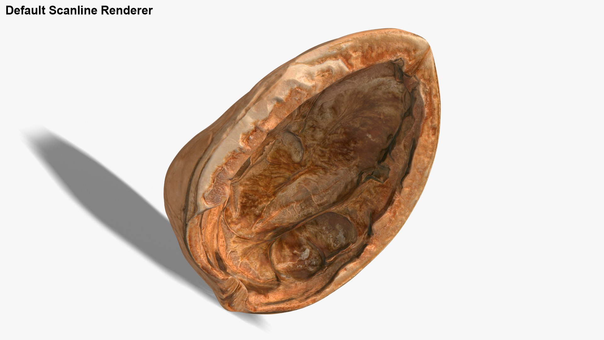 Empty Walnut Shell 3D model - TurboSquid 1973749