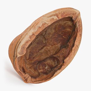 Free 3D Walnut Models | TurboSquid