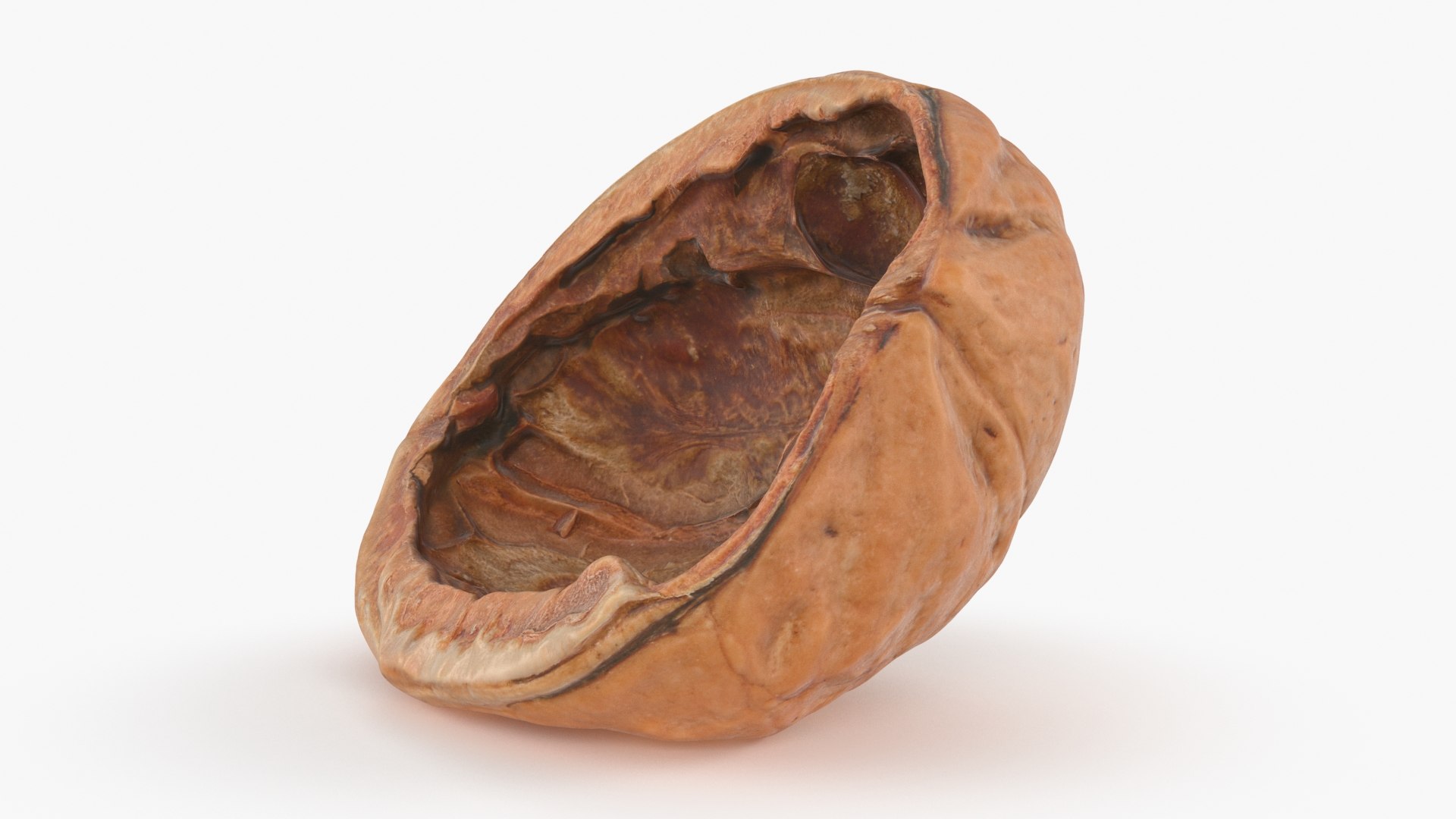 Empty Walnut Shell 3D model - TurboSquid 1973749