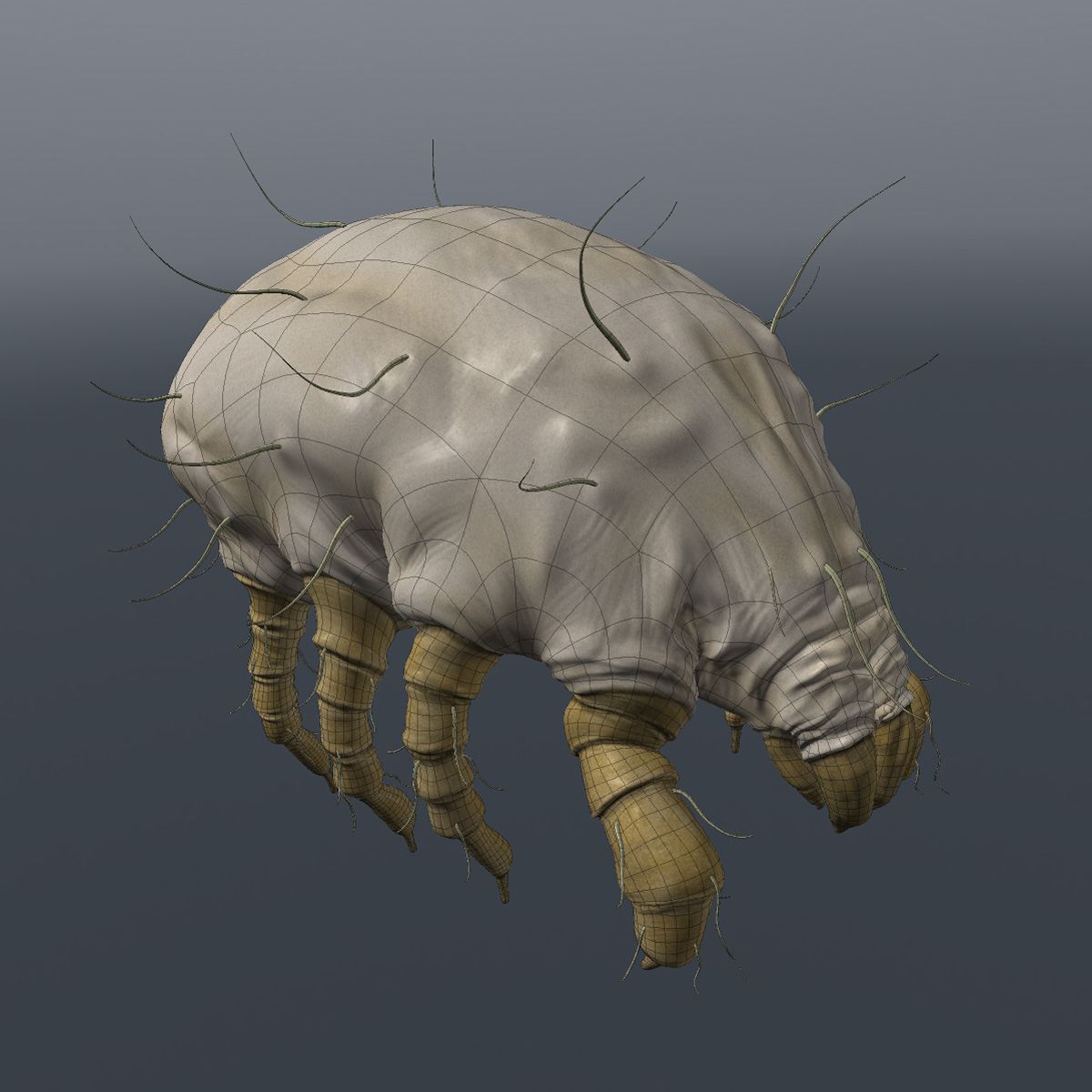 3d dust mite model