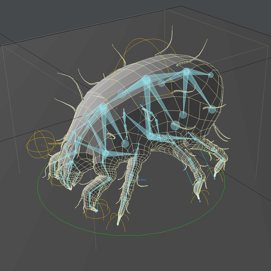 3d Dust Mite Model