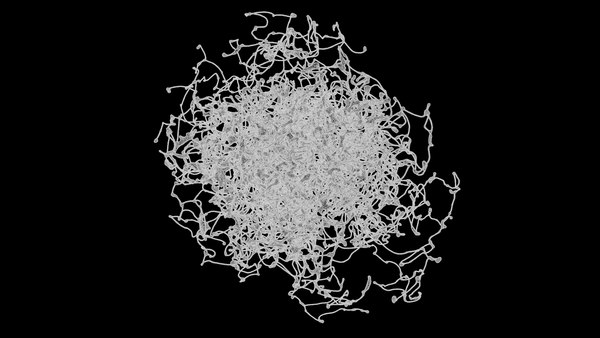 Neuron rosehip 3D model - TurboSquid 1672773