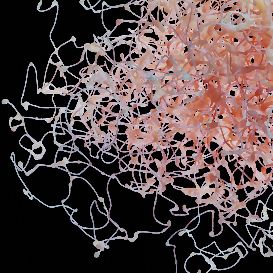 Neuron Rosehip 3D Model - TurboSquid 1672773