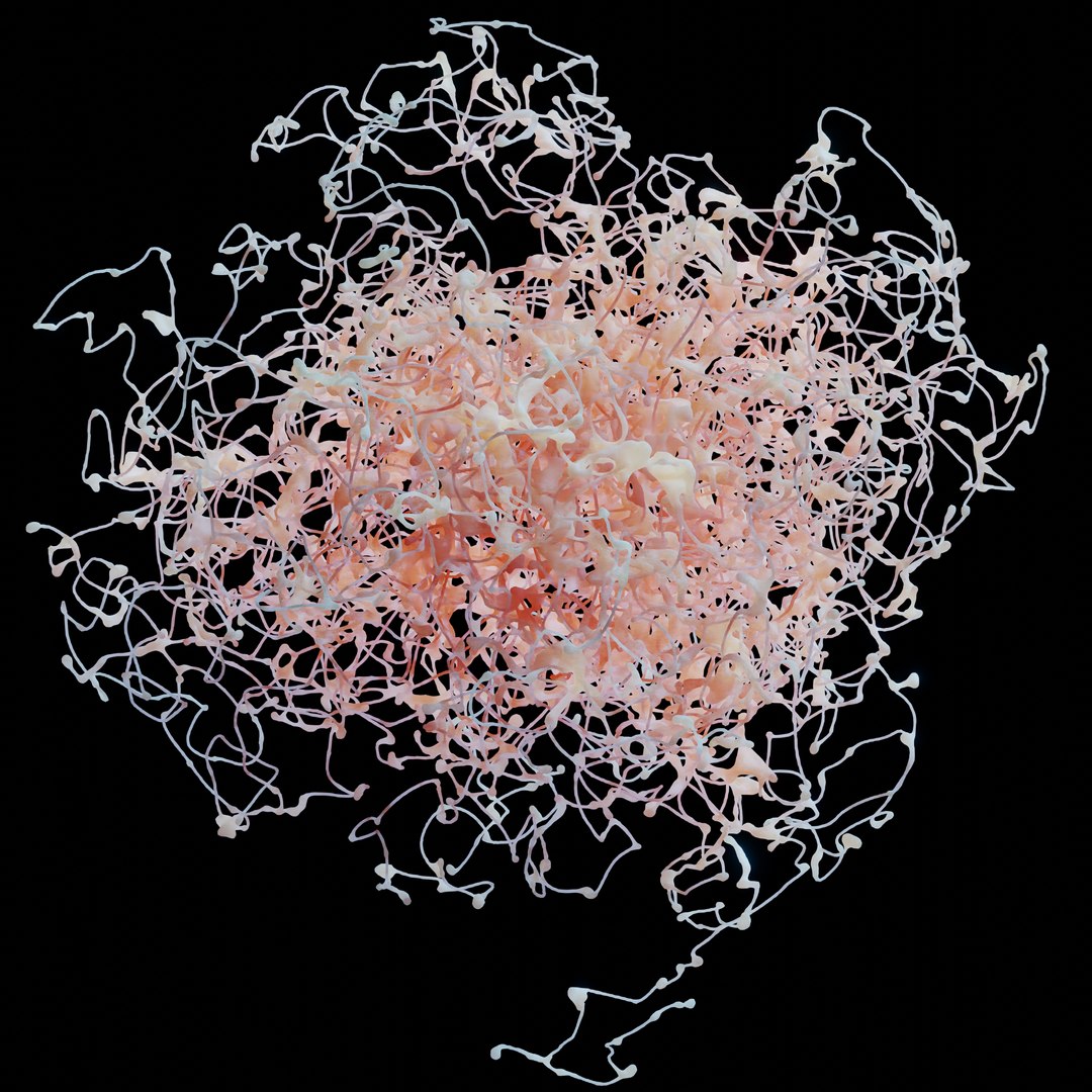 Neuron Rosehip 3D Model - TurboSquid 1672773