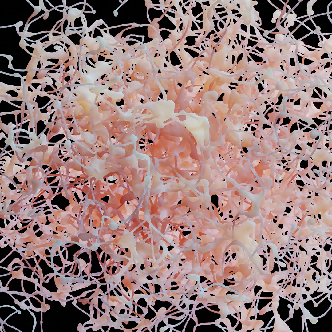 Neuron Rosehip 3D Model - TurboSquid 1672773