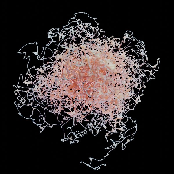 Neuron rosehip 3D model - TurboSquid 1672773