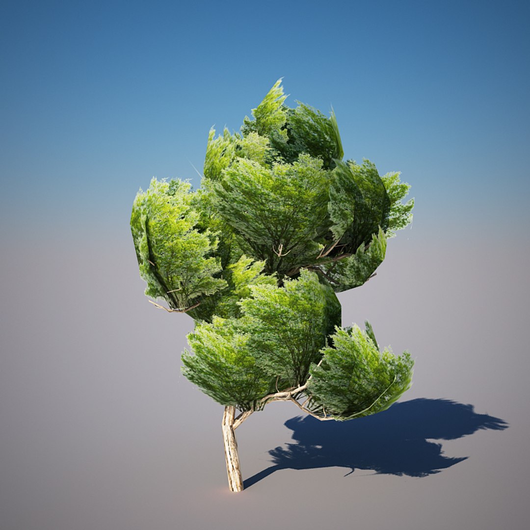 3d model tree materials