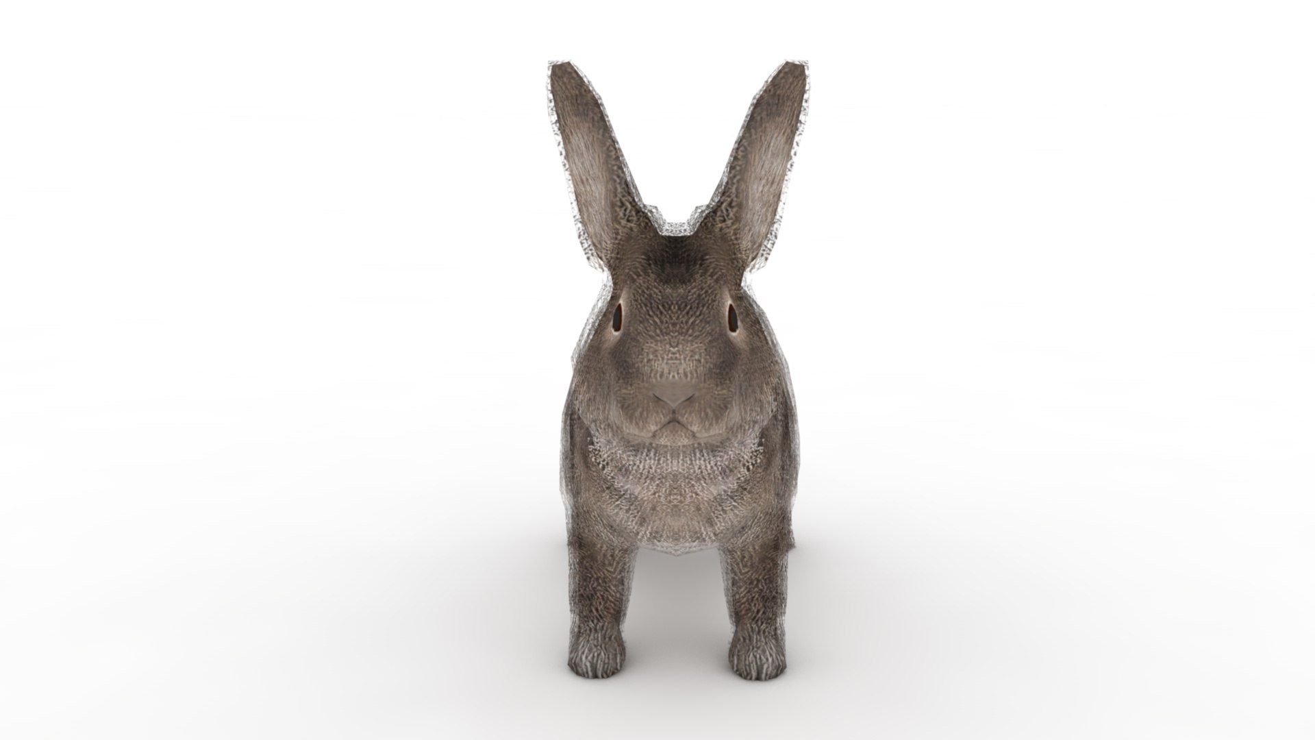 3D Rabbit - TurboSquid 2058306