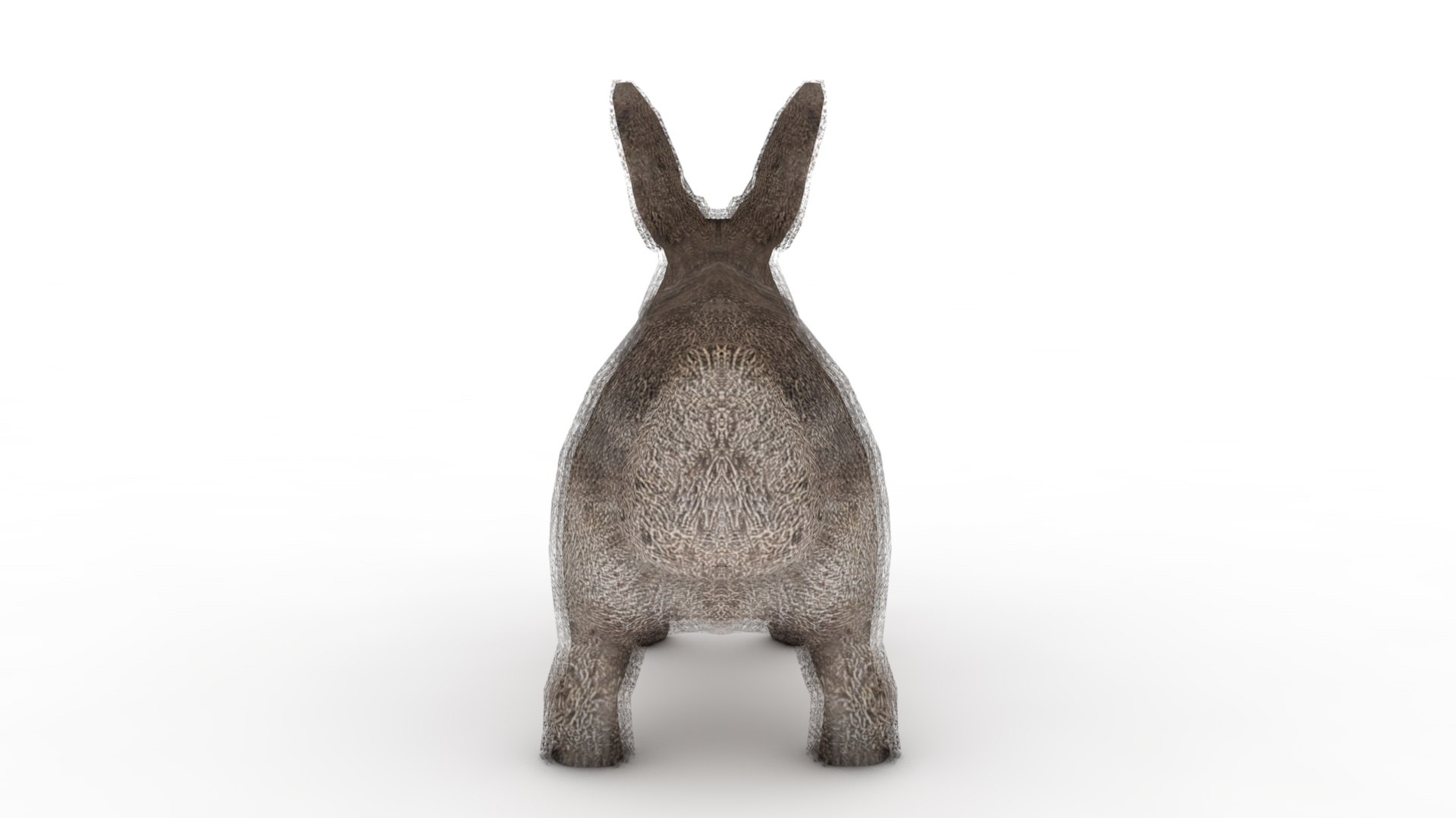 3D Rabbit - TurboSquid 2058306