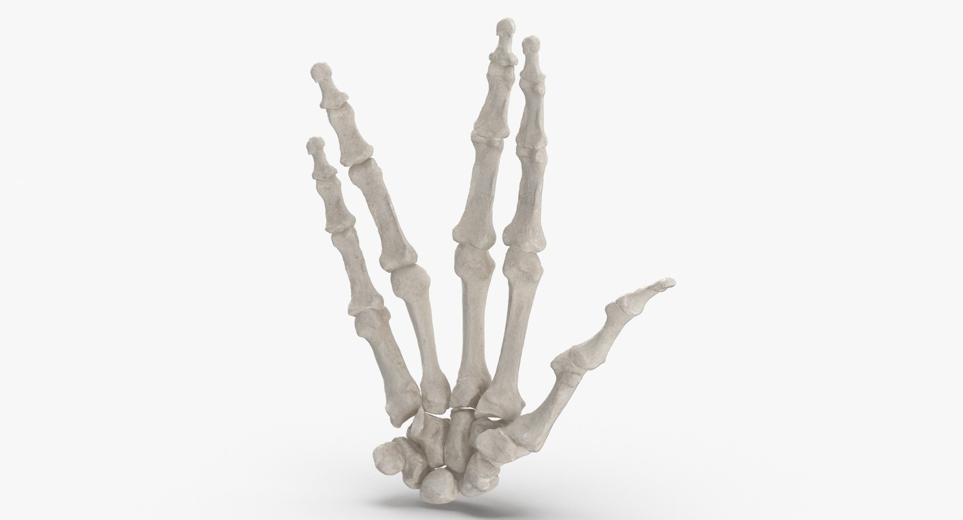3D Human Hand Bones Vulcan Sign White And Yellow Collection 01 - 2 ...