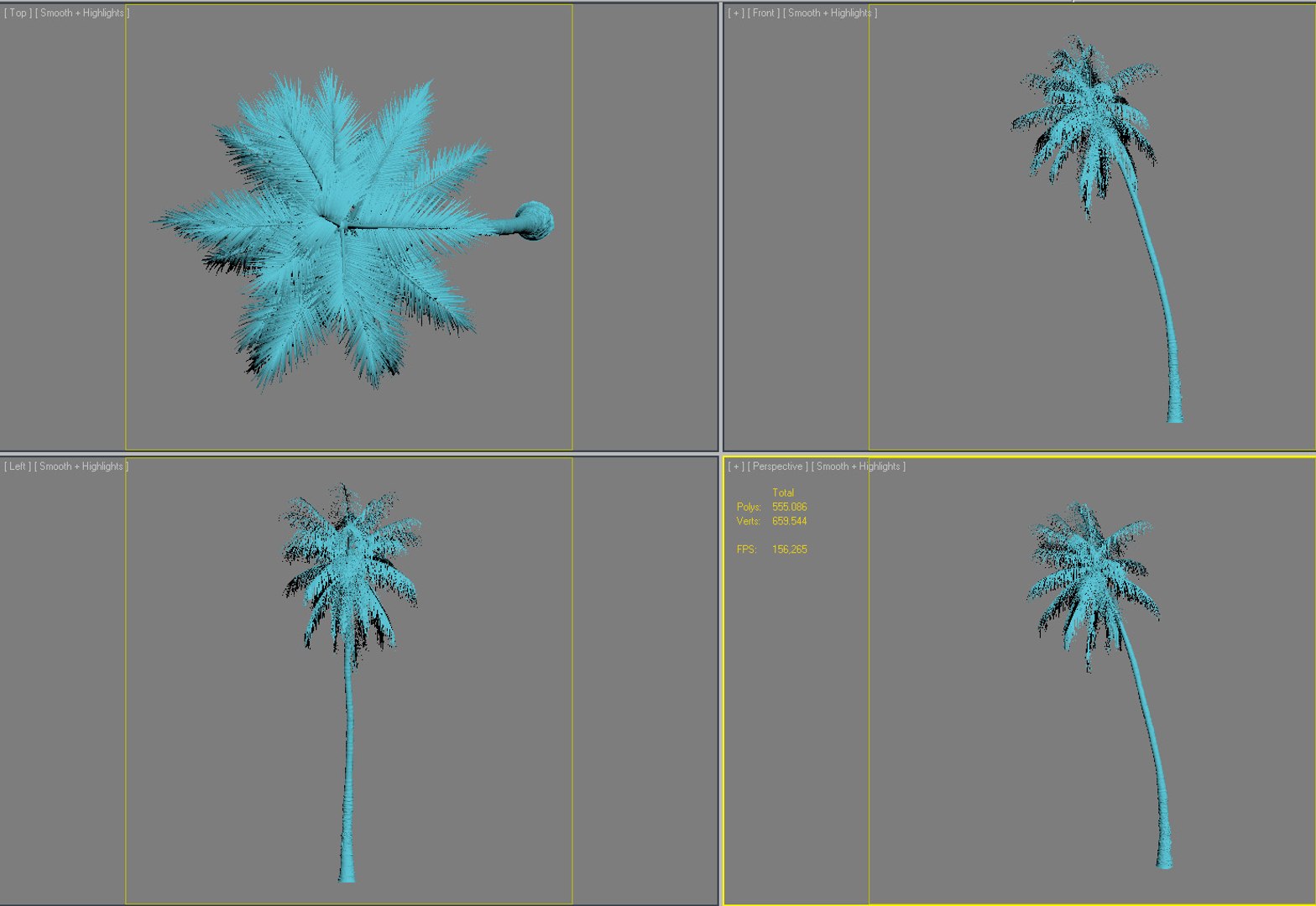 Coconut Palm Tree Obj