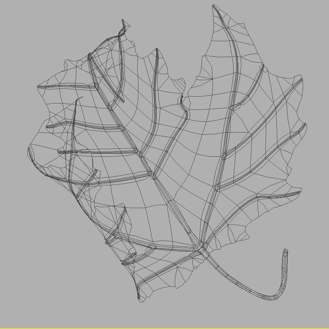 3d Model Autumn Leaf Poplar