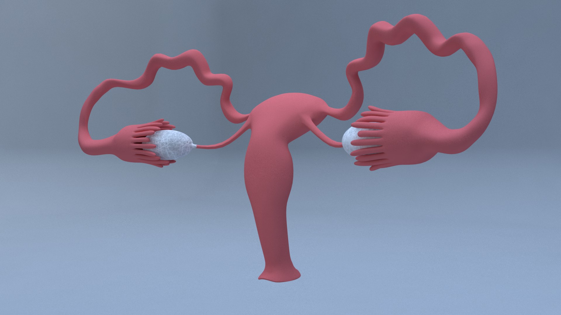 3D vigina - TurboSquid 1993692