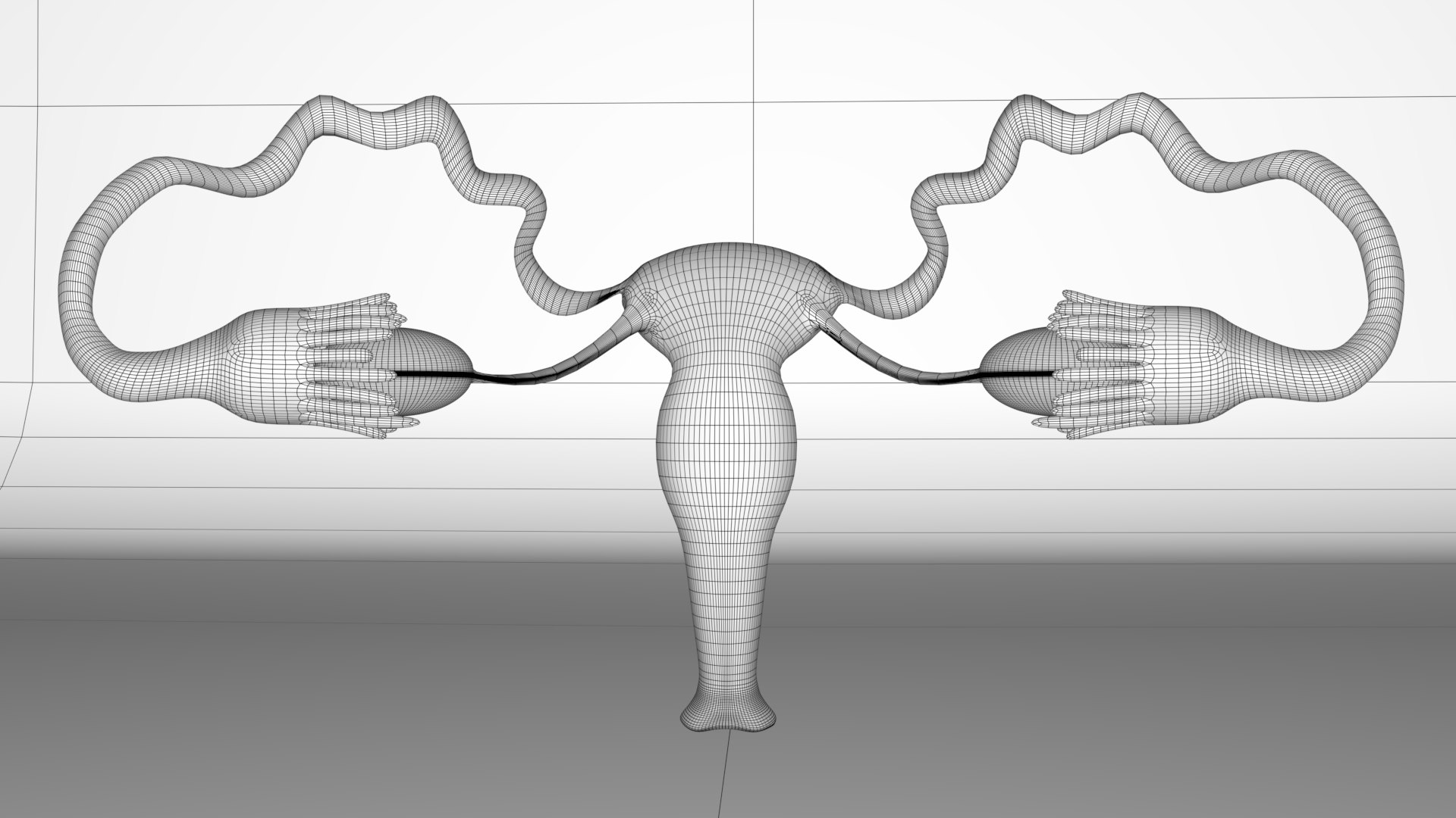 3D vigina - TurboSquid 1993692