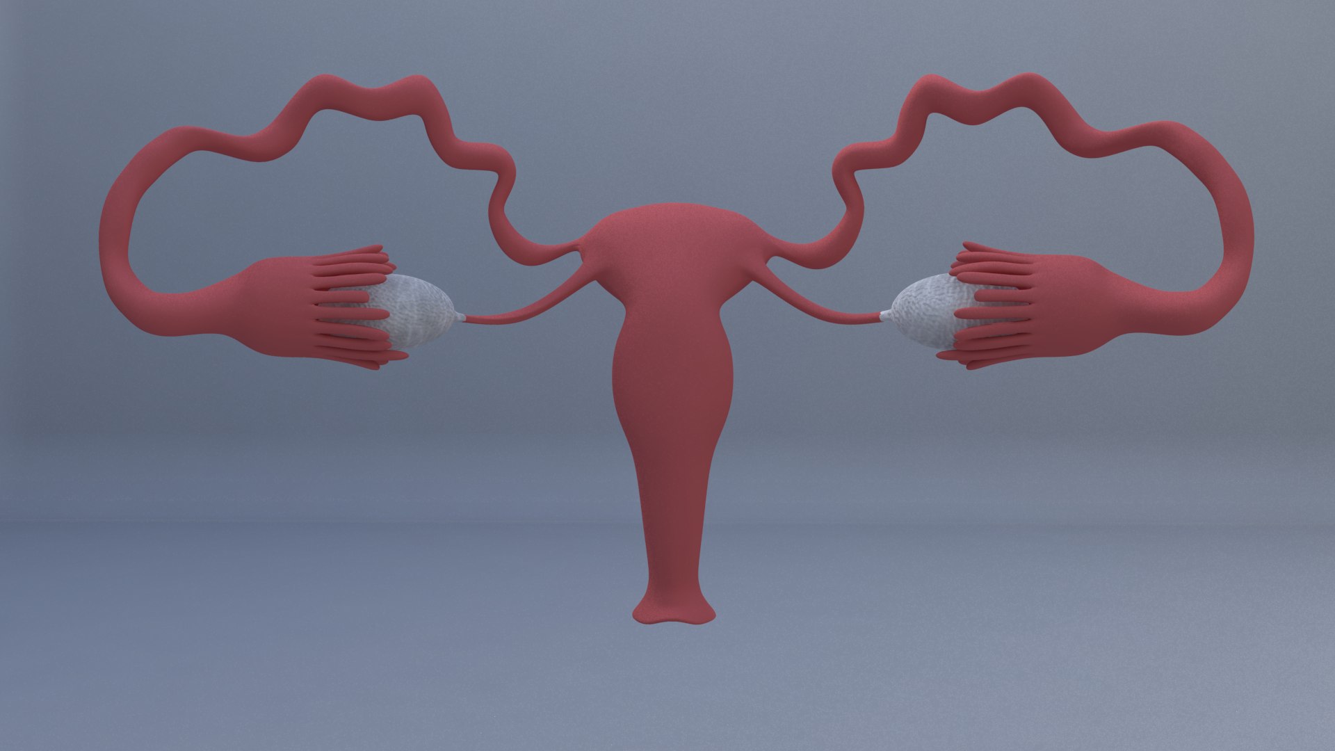 3D vigina - TurboSquid 1993692