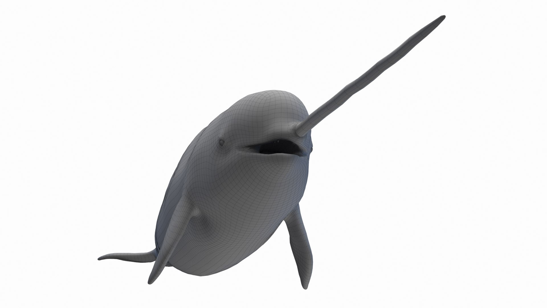 Narwhal Animated 3D Model - TurboSquid 2149267