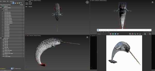 modelo 3d Narval animado - TurboSquid 2149267