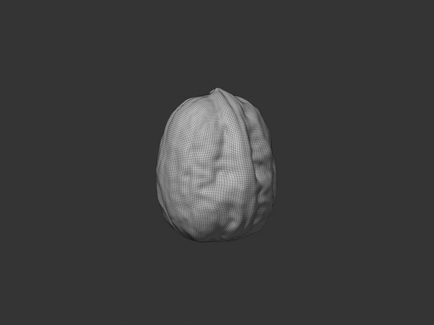 Walnut 3D Model - TurboSquid 2370249