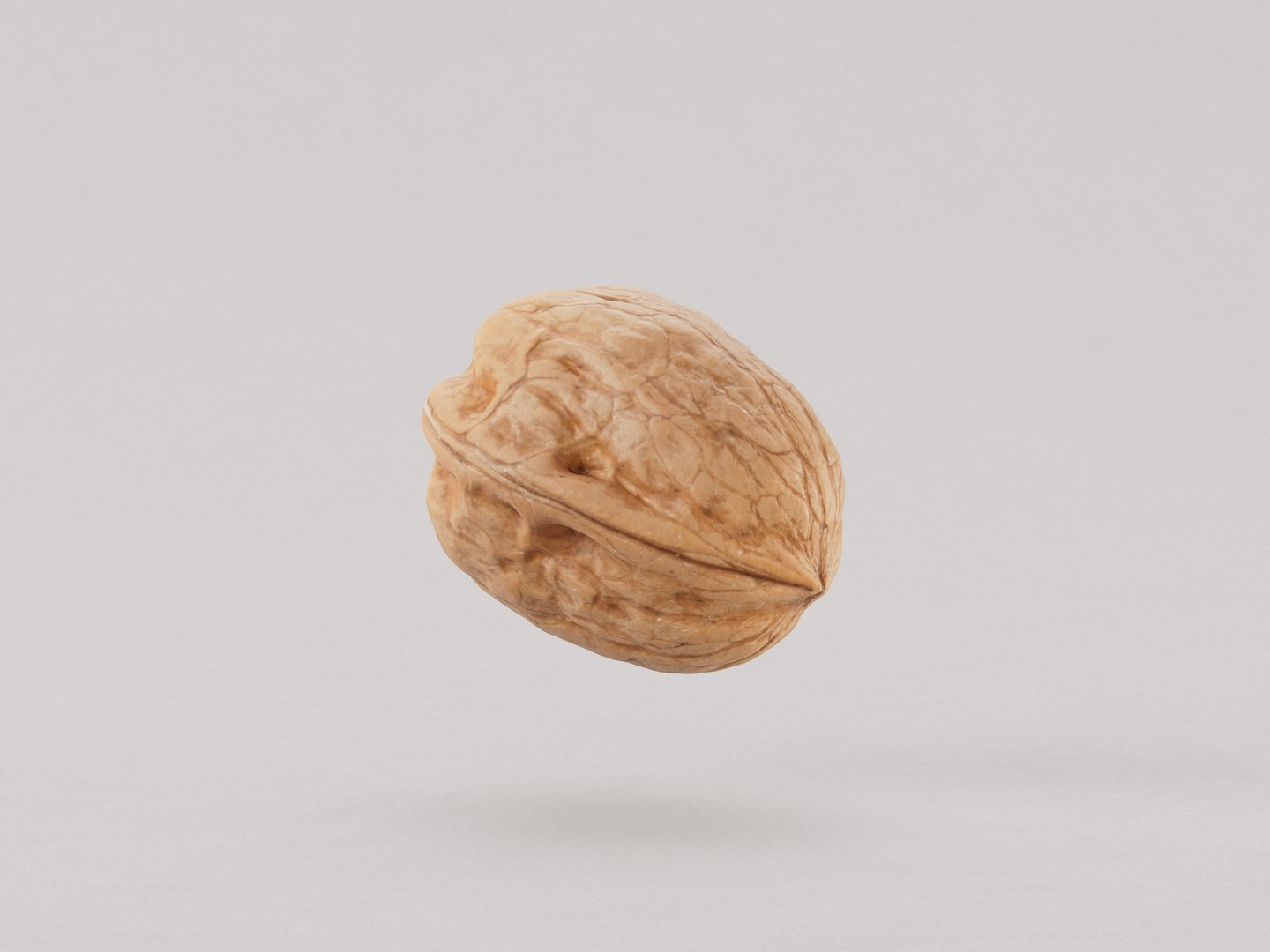 Walnut 3D Model - TurboSquid 2370249