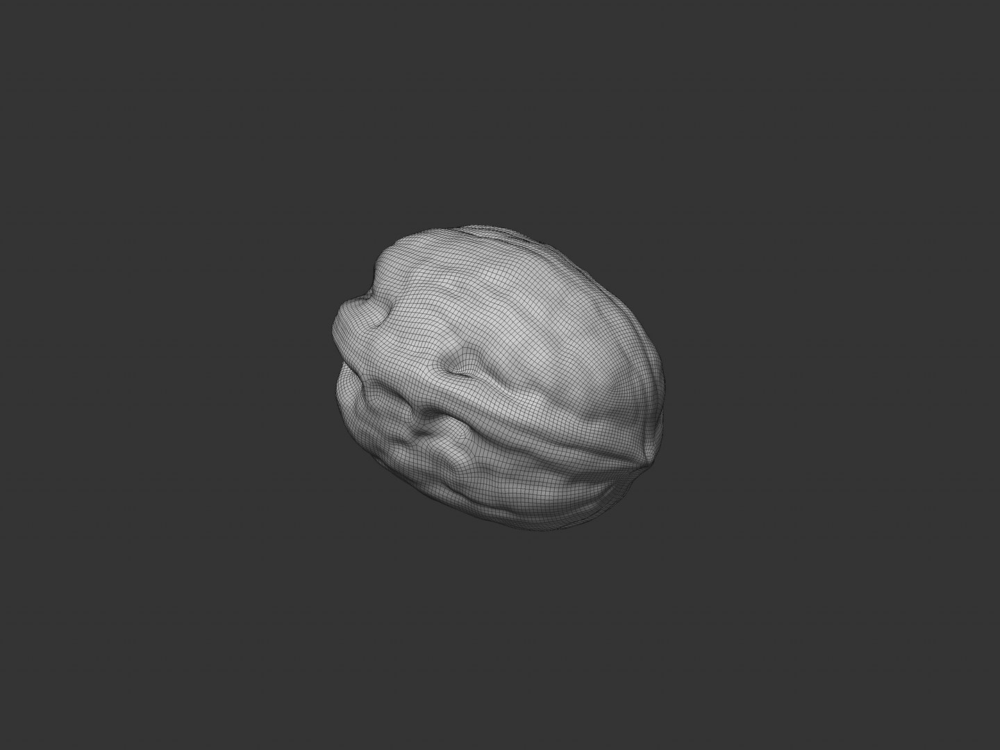 Walnut 3D Model - TurboSquid 2370249