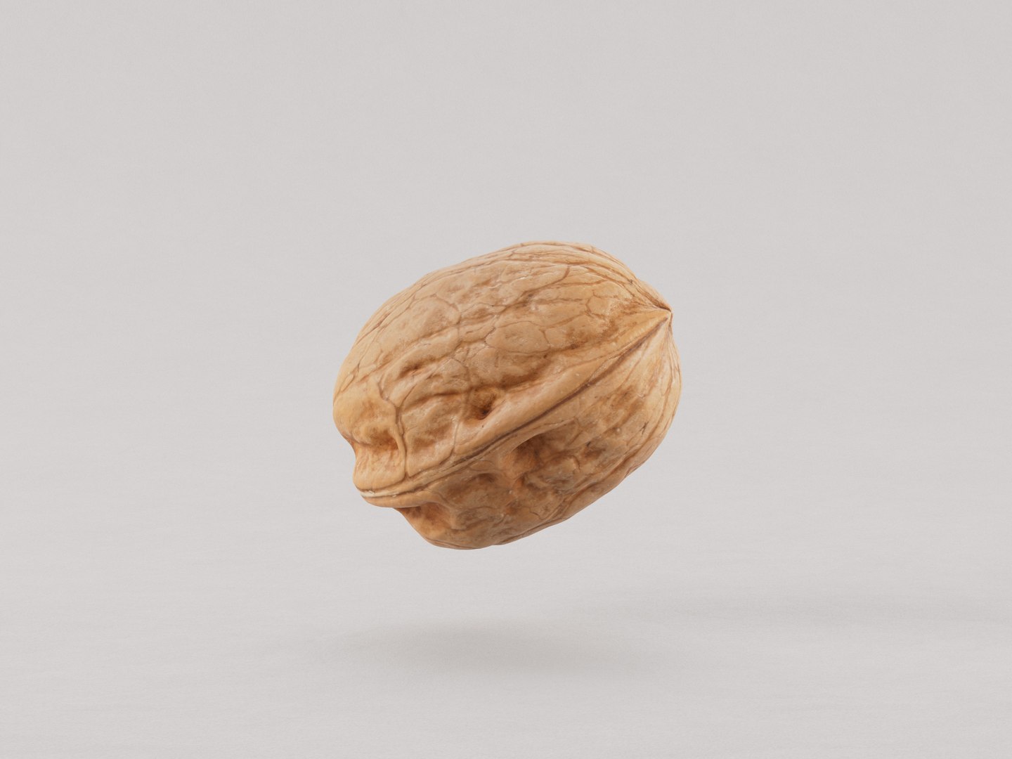 Walnut 3D Model - TurboSquid 2370249
