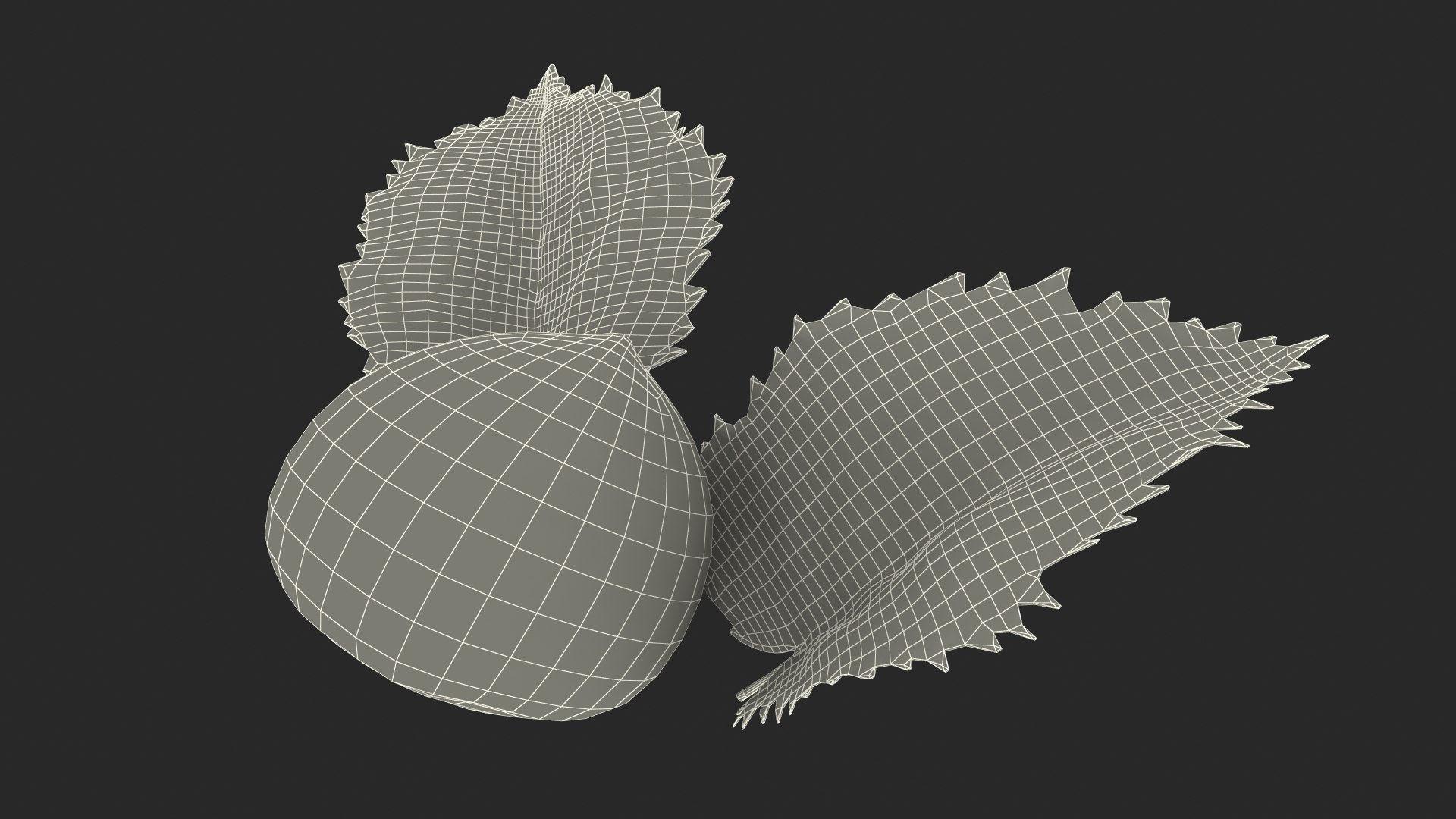 3D Hazelnut Leaves Nut Hazel Model - TurboSquid 1439203