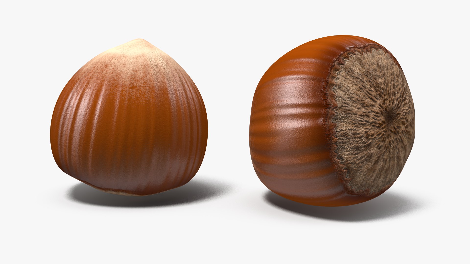 3D Hazelnut Leaves Nut Hazel Model - TurboSquid 1439203
