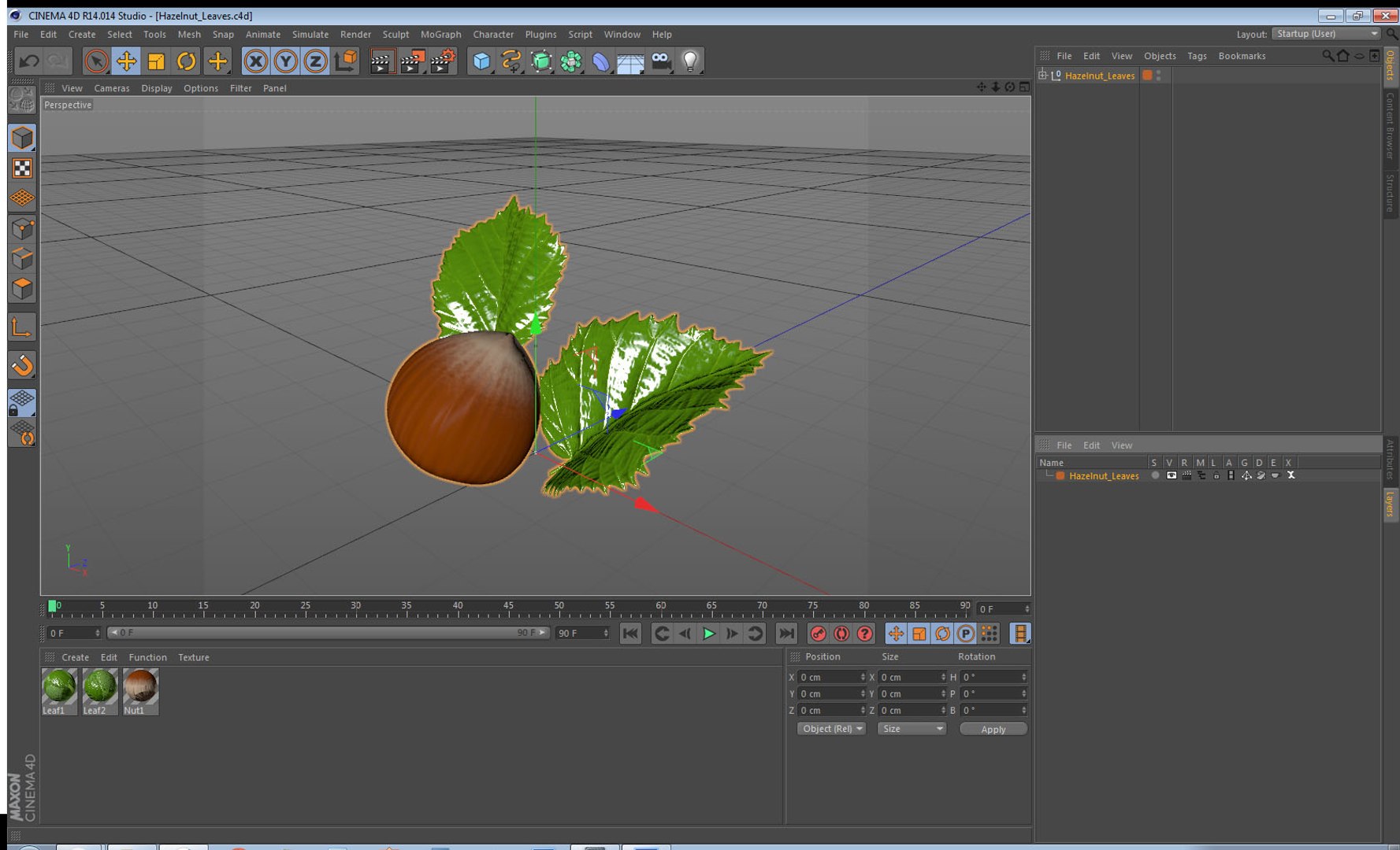 3D Hazelnut Leaves Nut Hazel Model - TurboSquid 1439203