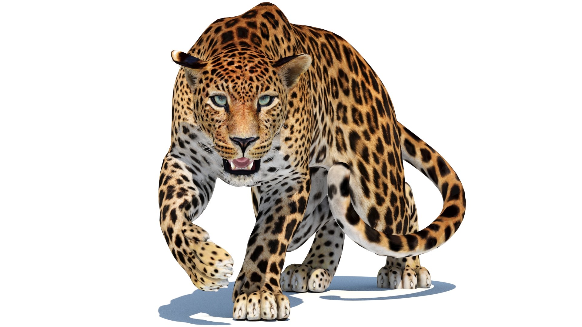3D Animated Sri Lankan Leopard 3D Model - TurboSquid 2098186