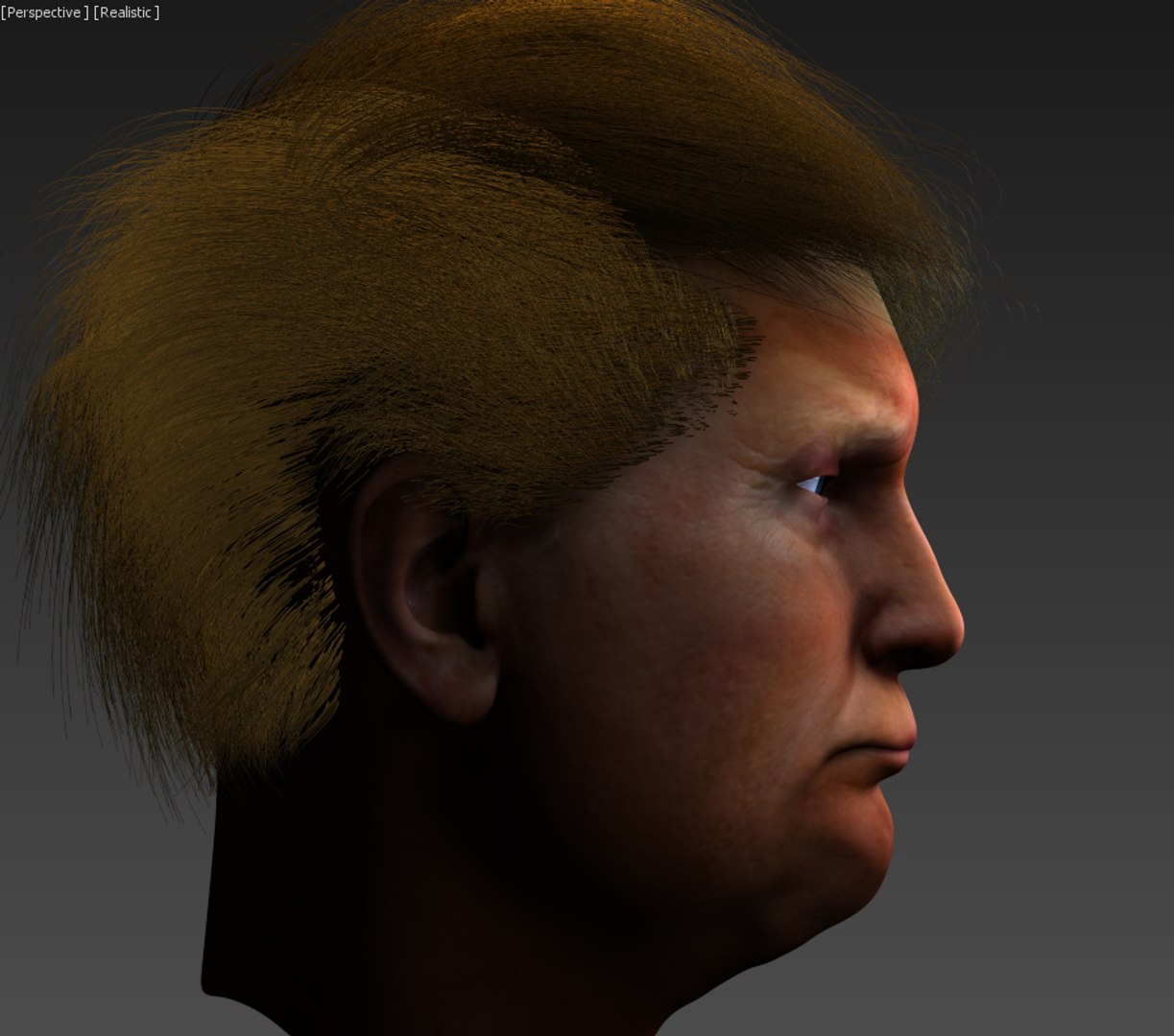 Donald Trump Max