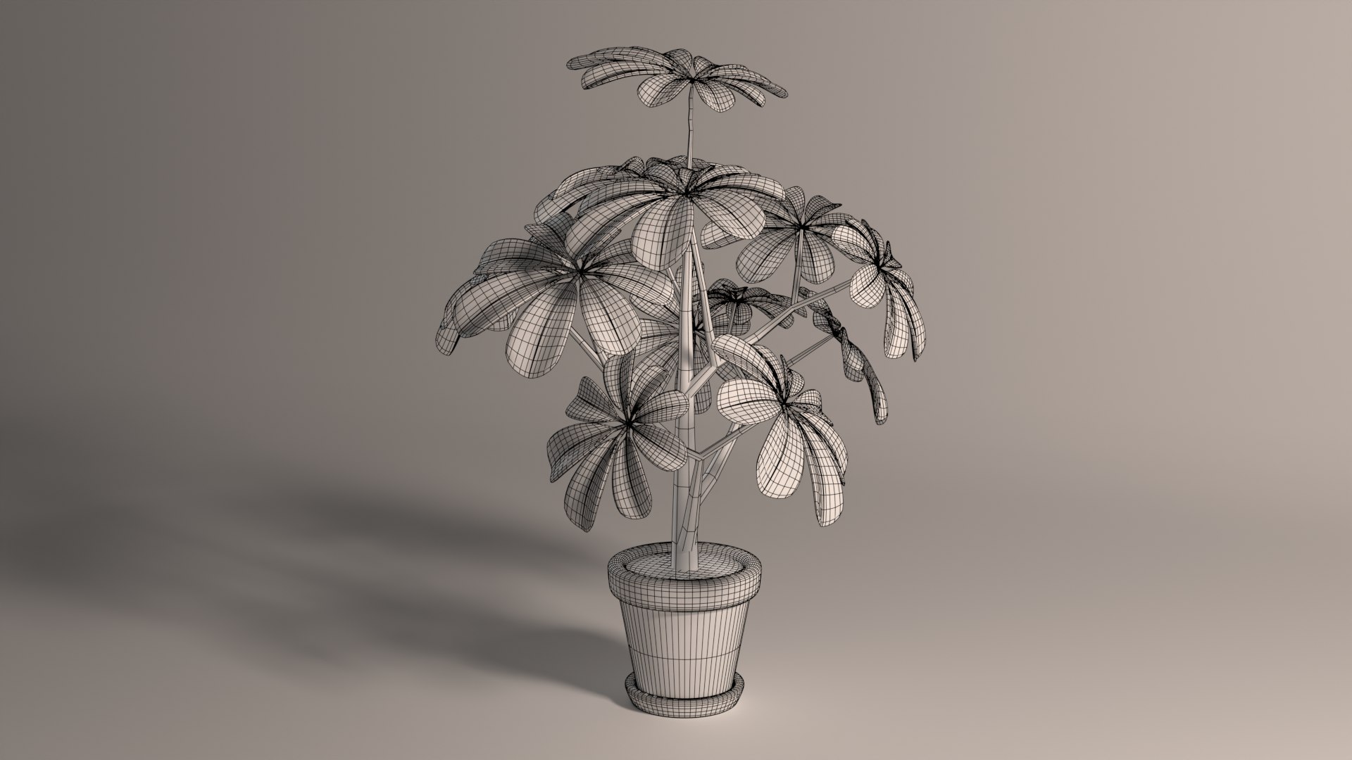 Cartoon Schefflera Potted Plant 3D Model - TurboSquid 2506199