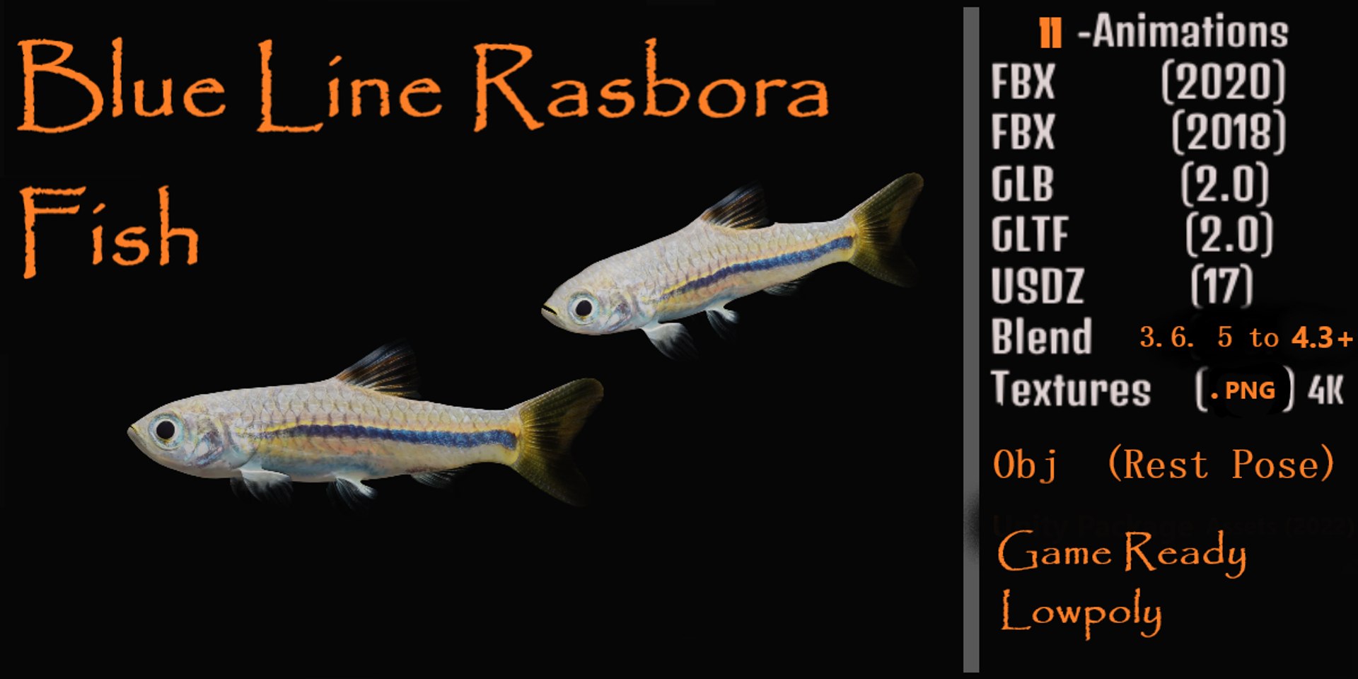 Blue Line Rasbora Fish 3D Model - TurboSquid 2337447