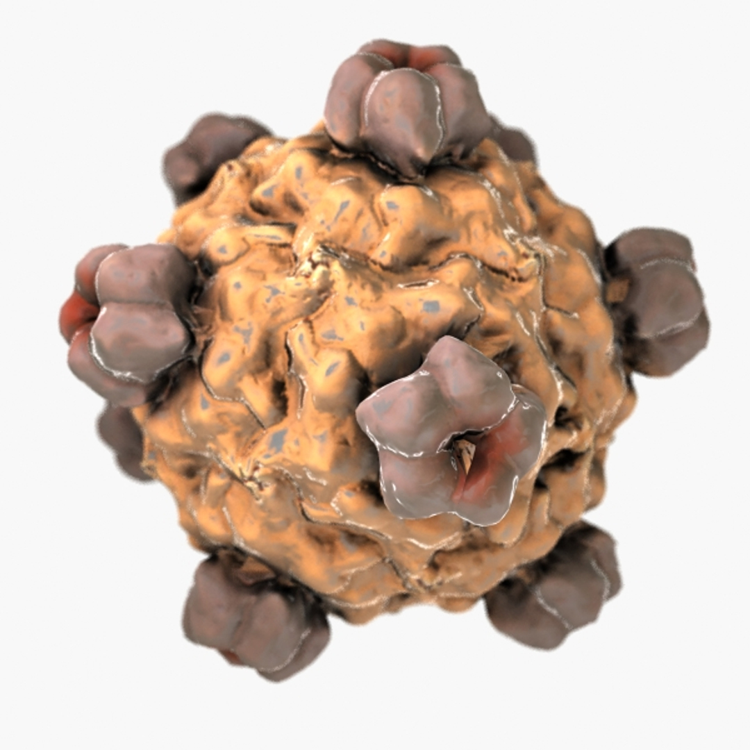 3d Model Virus Bacteria Pathogen