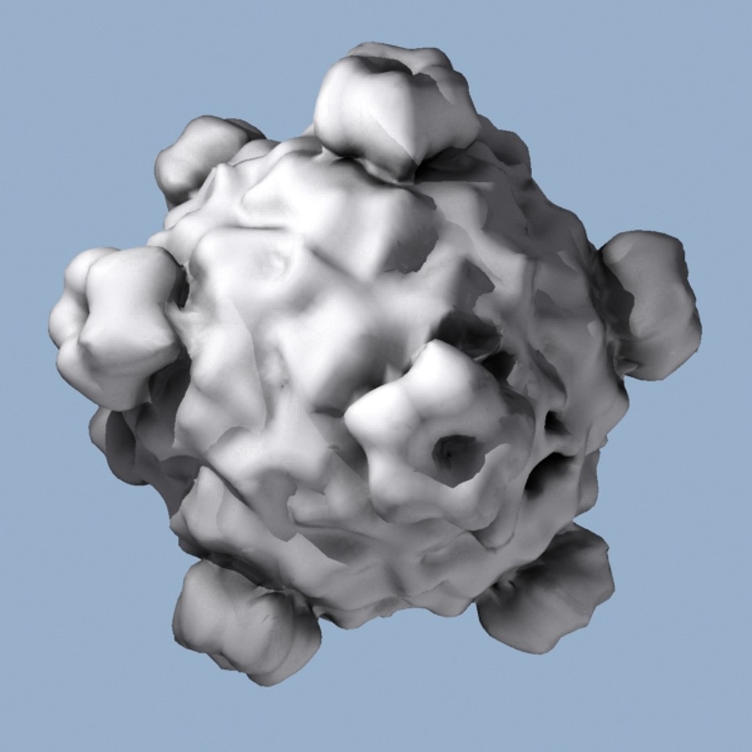 3d Model Virus Bacteria Pathogen