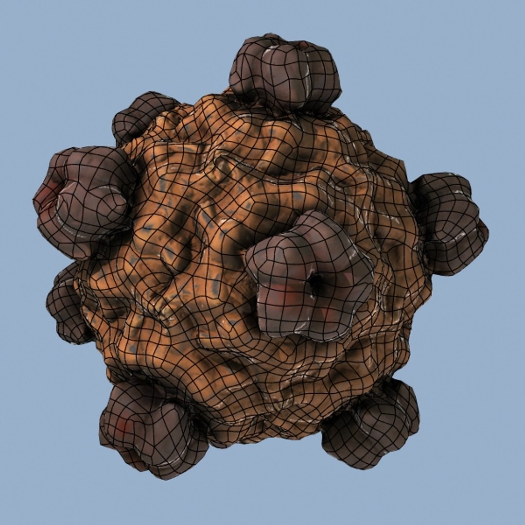 3d Model Virus Bacteria Pathogen
