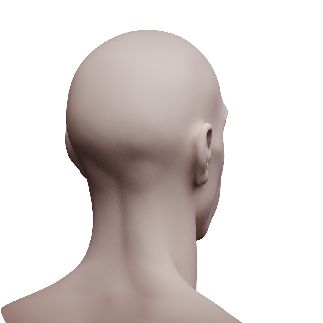 3D Model Bald Man - TurboSquid 2329507