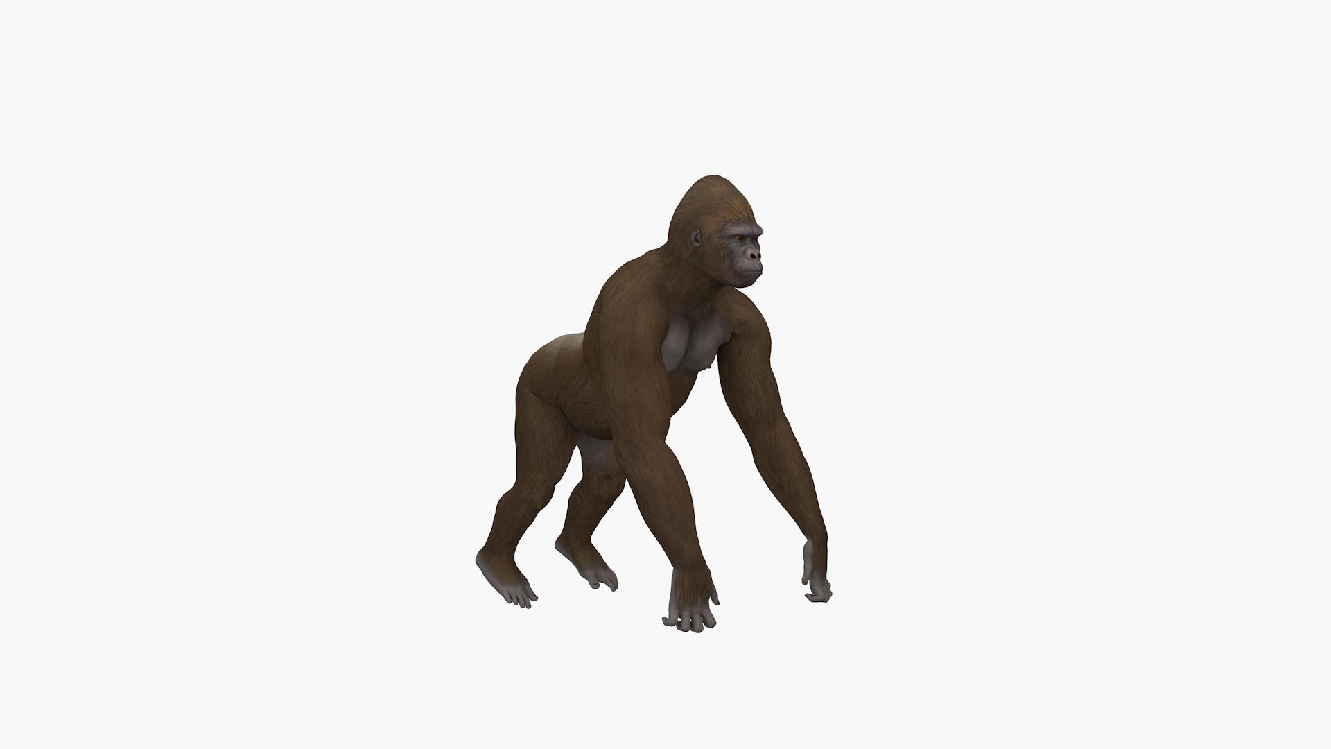 3D Gorilla Model - TurboSquid 2369866
