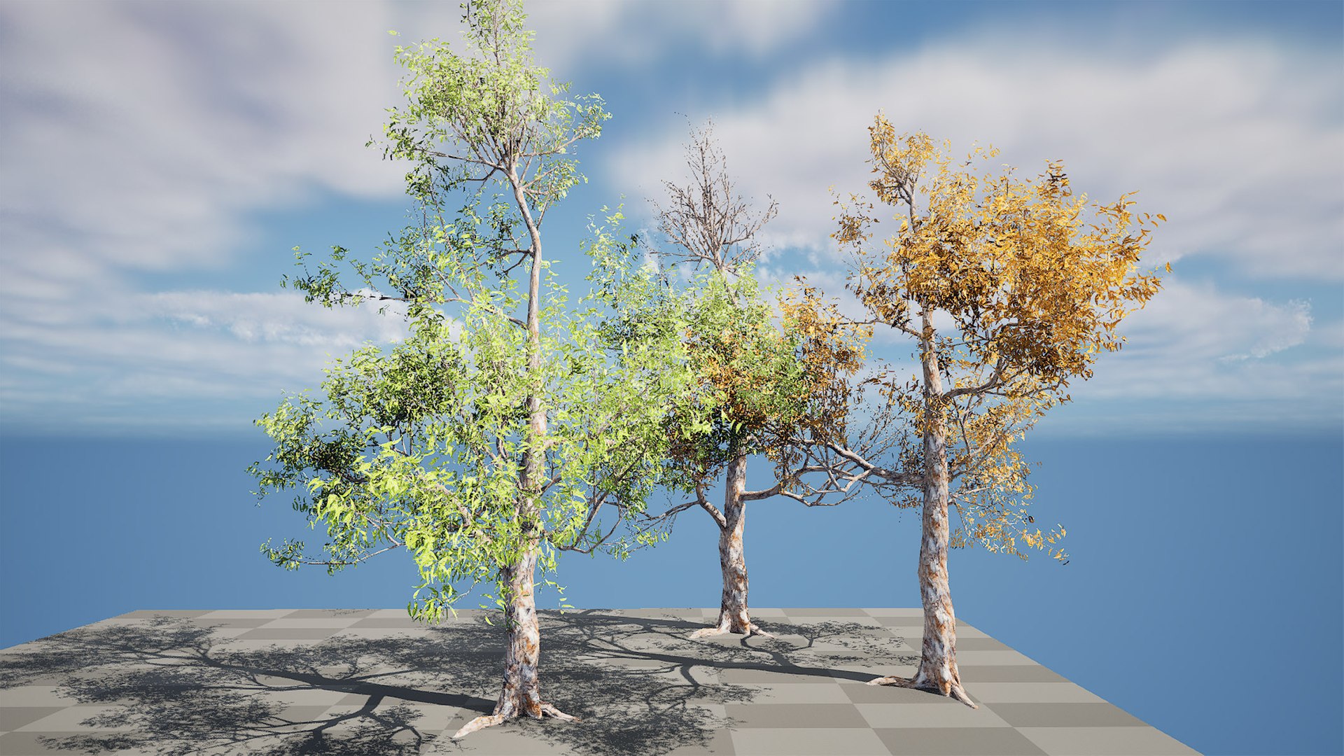 Free 3D Model Gum Tree 3D Models With Green Summer Fall And Leafless ...